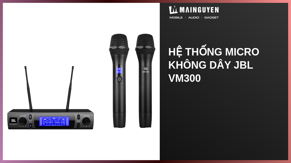 Hệ thống Micro không dây JBL VM300(L11626) | mainguyen.vn