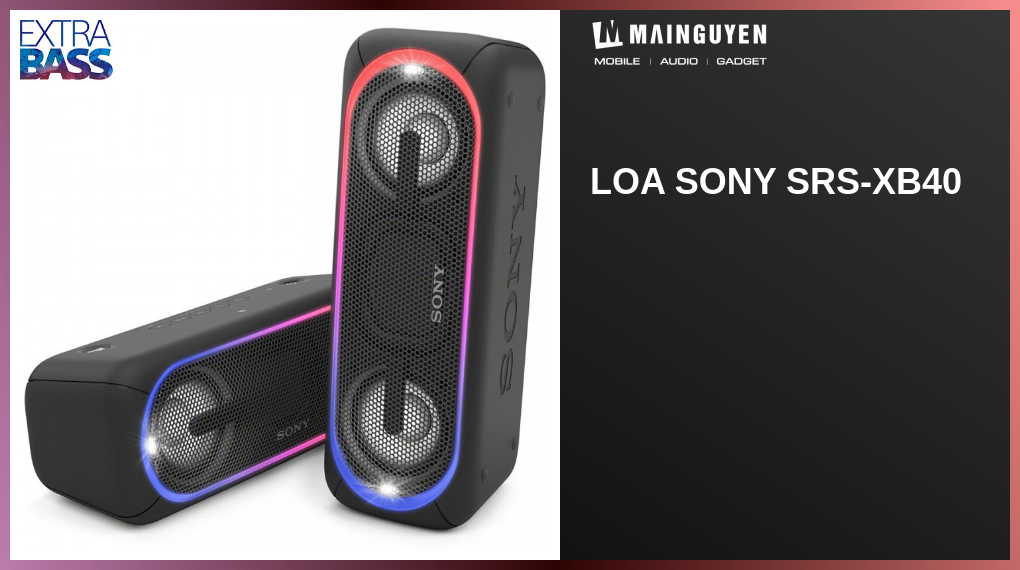 Loa Sony SRS-XB40(L08340) | mainguyen.vn